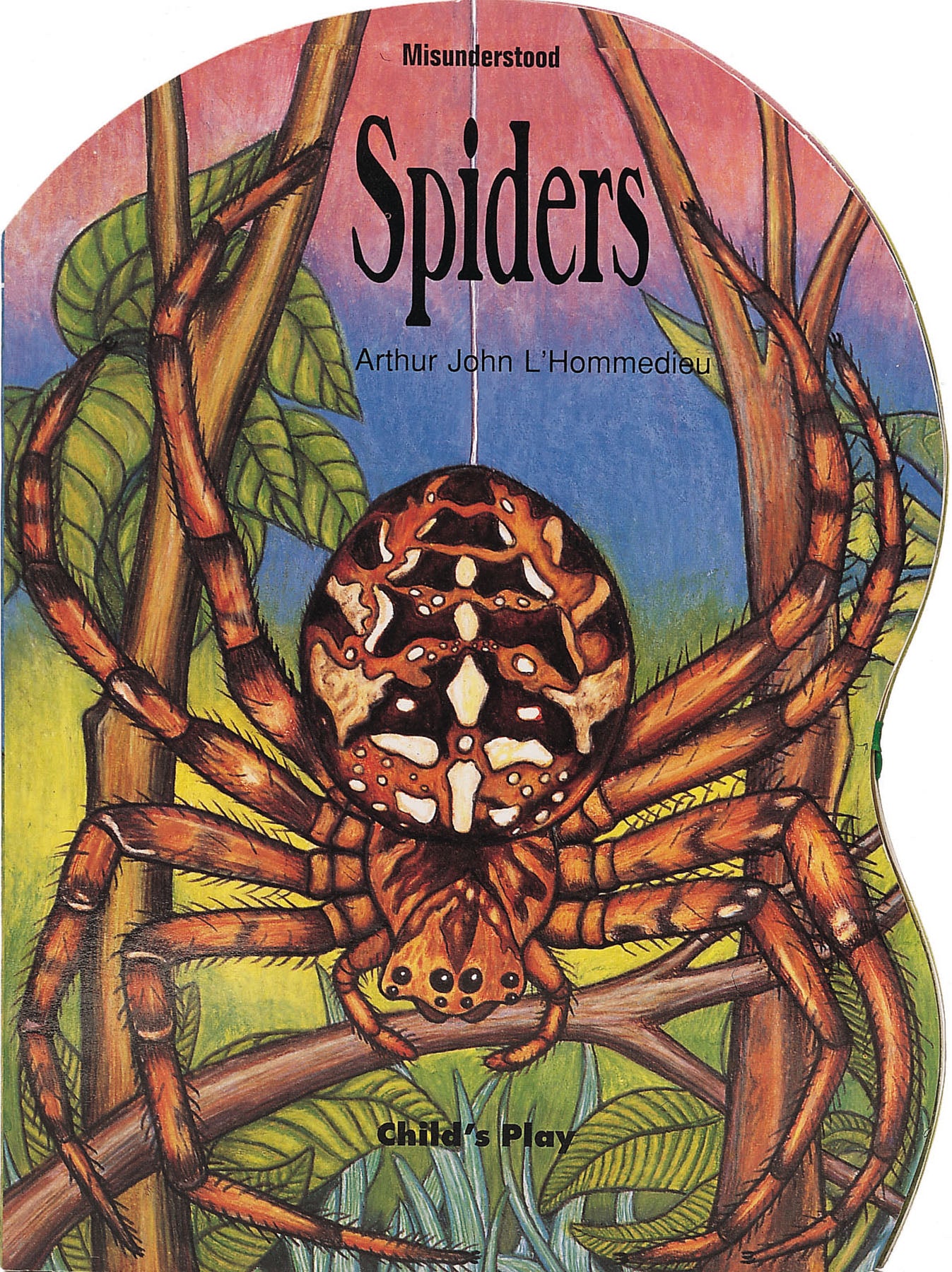 Misunderstood: Spiders (Pocket Edition) – Child's Play